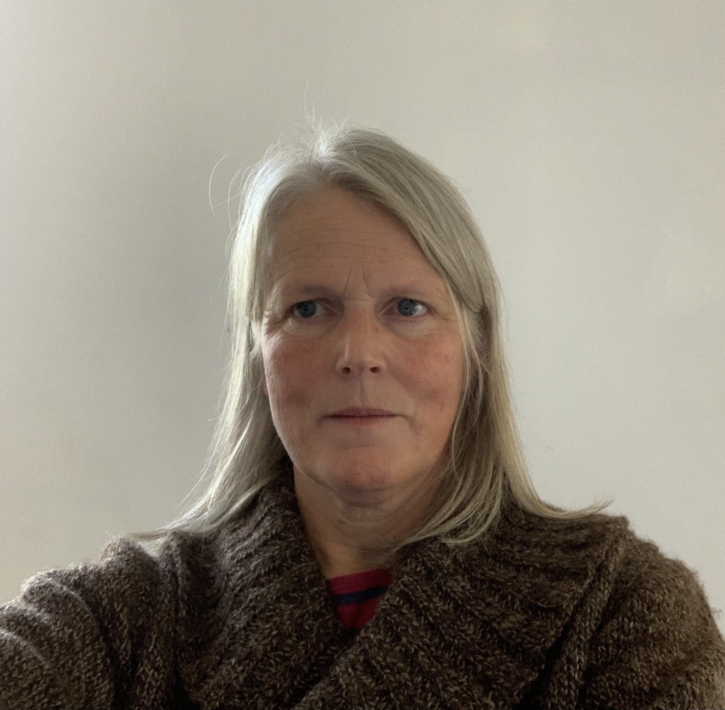 Bridget Tennent - Society of Designer Craftsmen